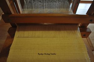 Bashofu Weaving – Scharine Kirchoff, Fiber Artist