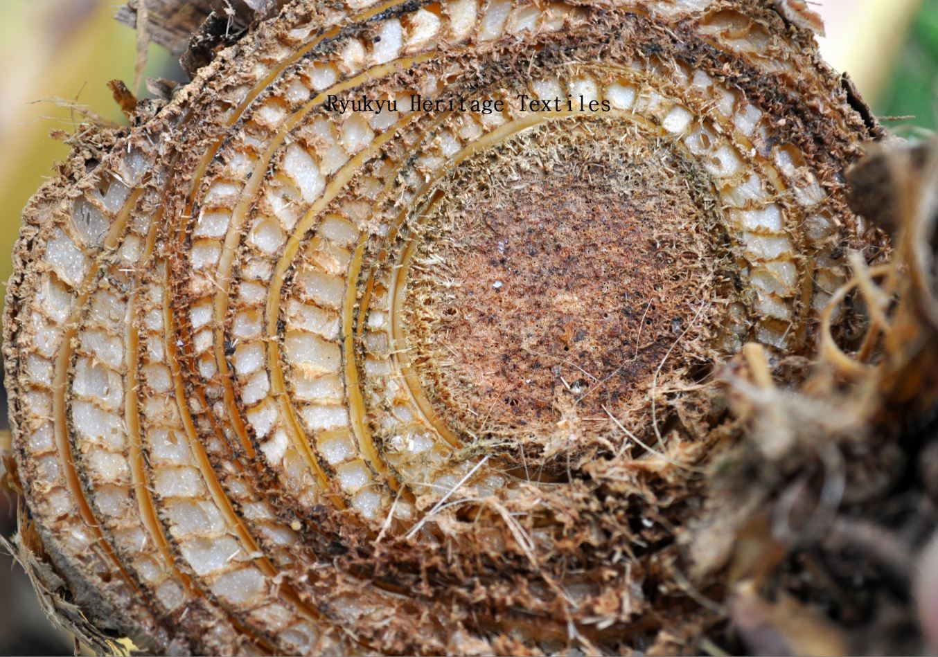 Bashofu Abaca Cloth – Scharine Kirchoff, Fiber Artist